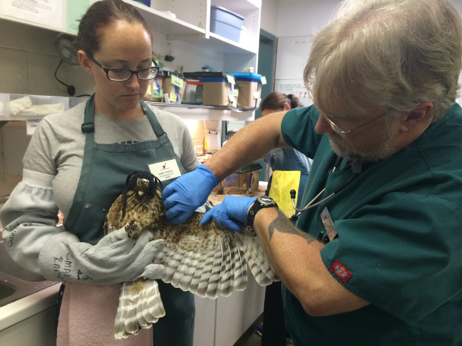 Lindsay Volunteer System - Lindsay Wildlife Experience