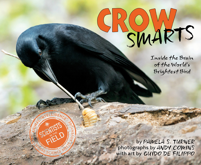 Nature Speak: Crow Smarts Oct. 16 - Lindsay Wildlife Experience