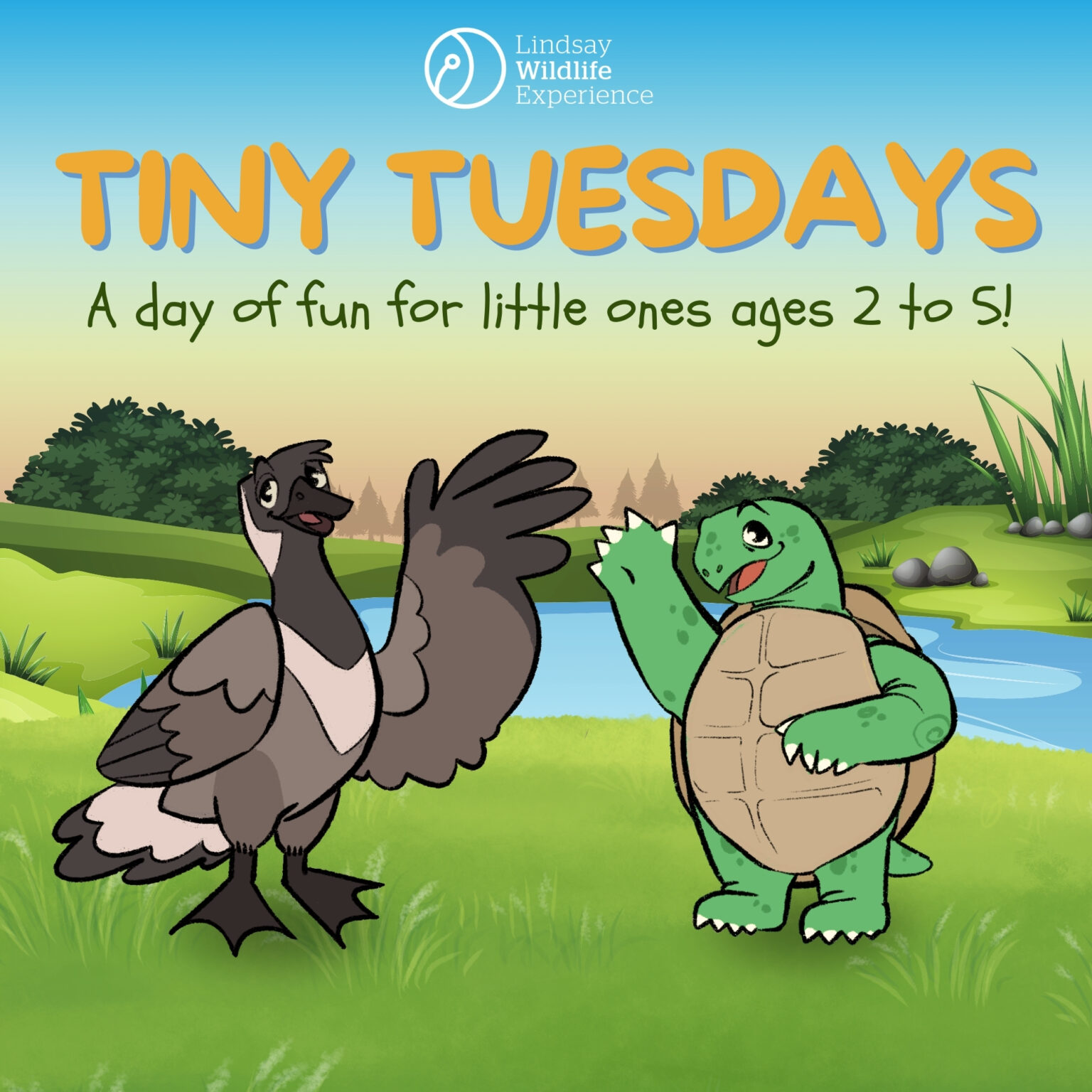 Tiny Tuesdays