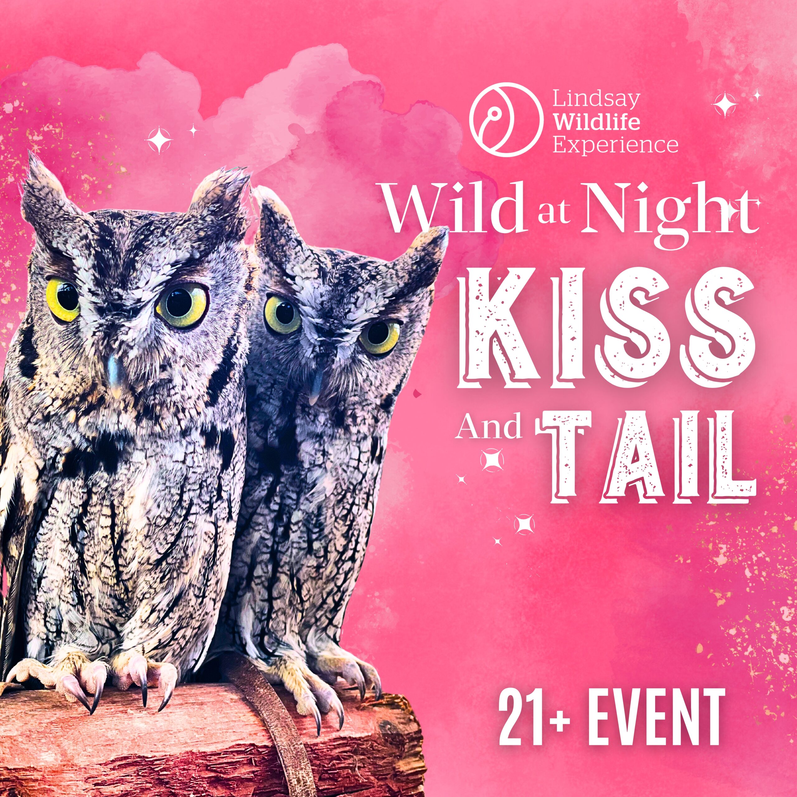 Wild@Night: Kiss & Tail! 2025 - Lindsay Wildlife Experience