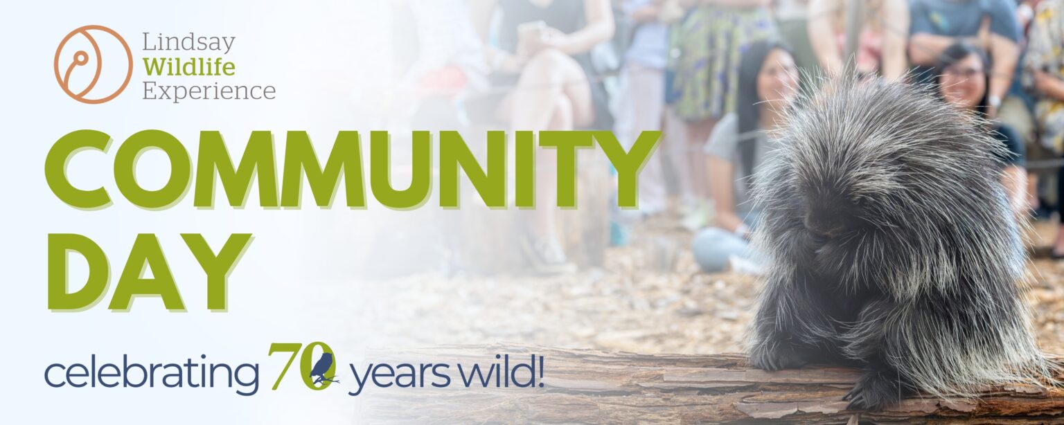 Help Us Celebrate with Free Admission! - Lindsay Wildlife Experience