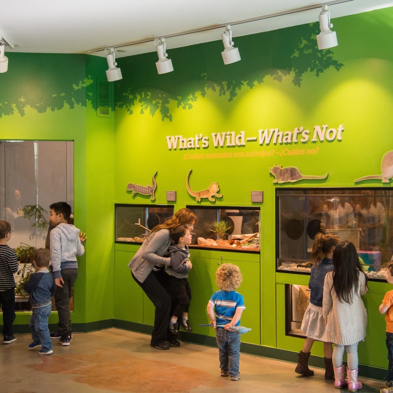 Exhibits at Lindsay Wildlife - Lindsay Wildlife Experience