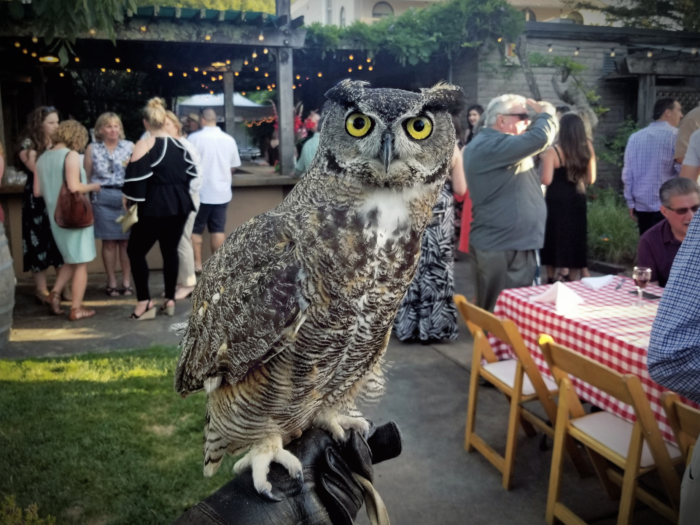 Lindsay in the Community! - Lindsay Wildlife Experience