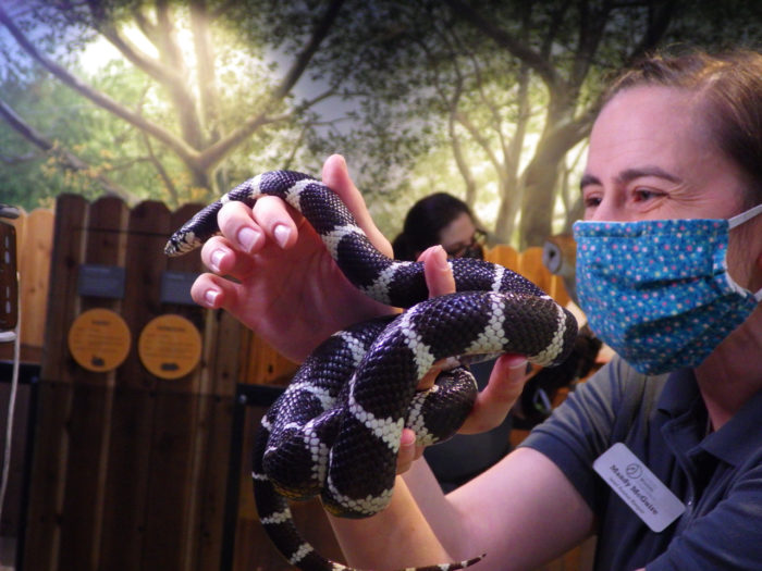 Lindsay in the Community! - Lindsay Wildlife Experience